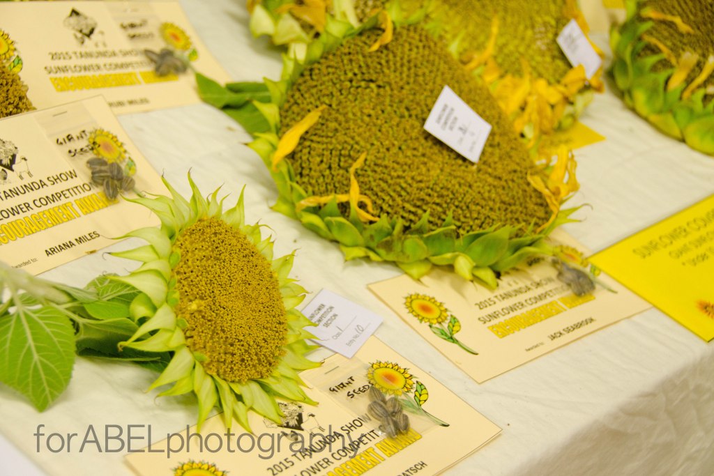 Photo Gallery | 112th Tanunda Show